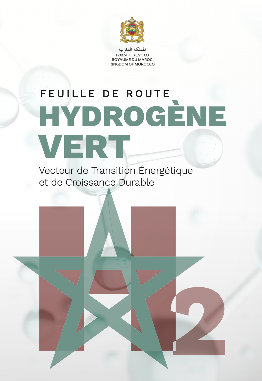 Morocco hydrogen. – waste to energy. | biogas. | water. | clean ...